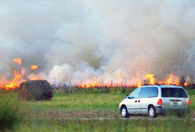 Fire In Your Pasture: Friend or Foe? - Countryside